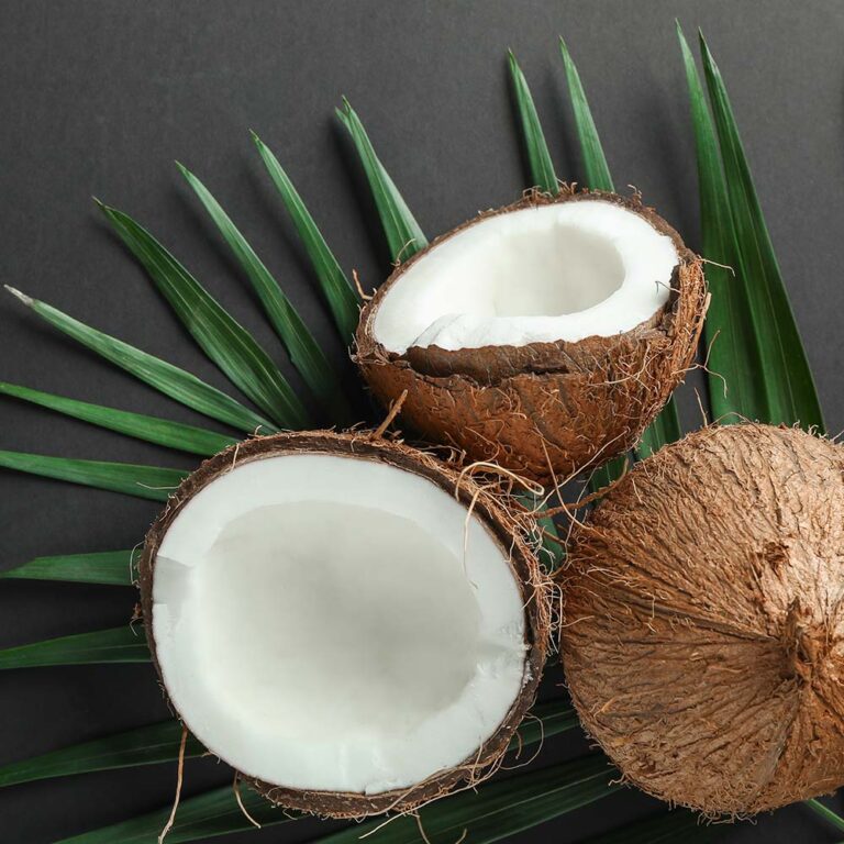 Coconut - Candlewic: Candle Making Supplies Since 1972