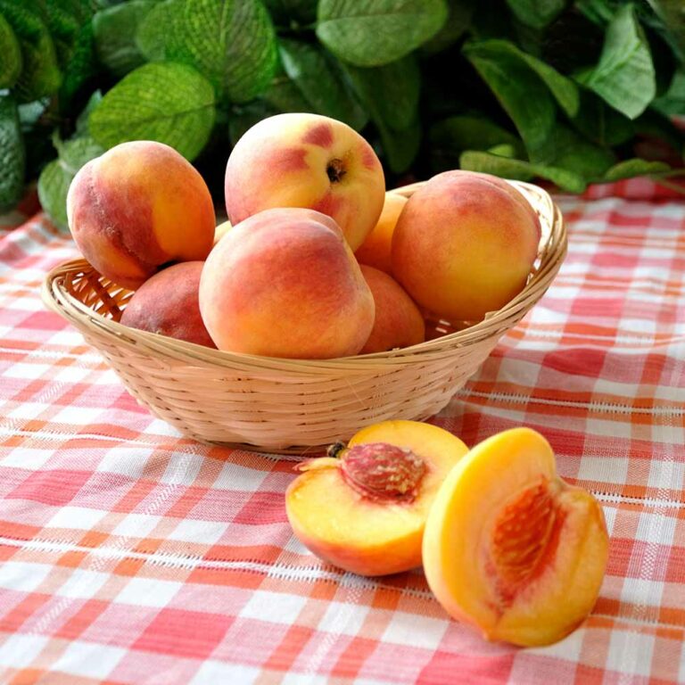 Georgia Peach - Candlewic: Candle Making Supplies Since 1972