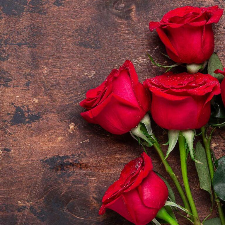 Rose - Candlewic: Candle Making Supplies Since 1972