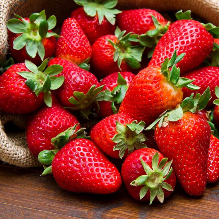 Strawberry - Candlewic: Candle Making Supplies Since 1972