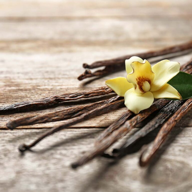 Vanilla - Candlewic: Candle Making Supplies Since 1972