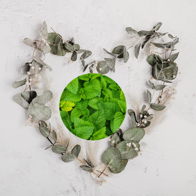 New Archives - Candlewic: Candle Making Supplies Since 1972