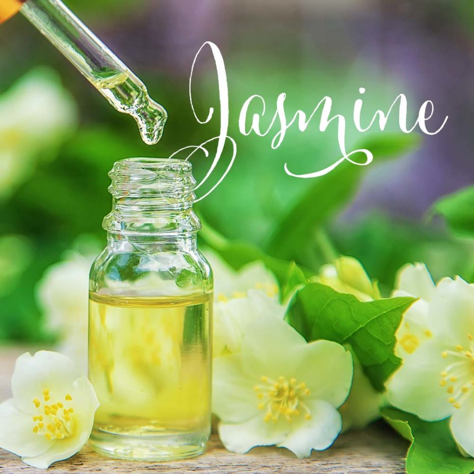 Jasmine - Candlewic: Candle Making Supplies Since 1972