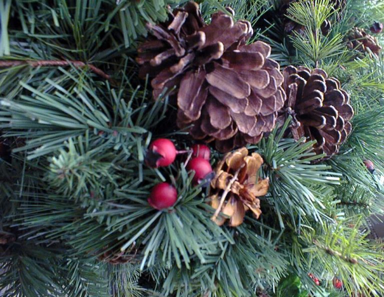 Christmas Essence - Candlewic: Candle Making Supplies Since 1972